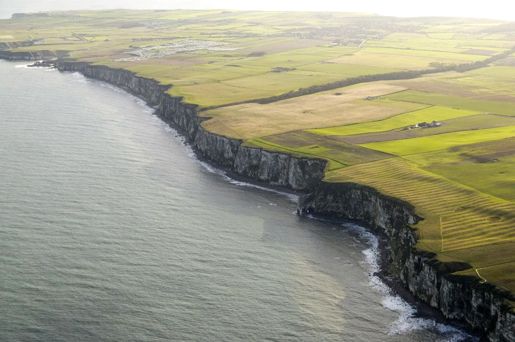 RSPB Bempton Cliffs - Go Yorkshire