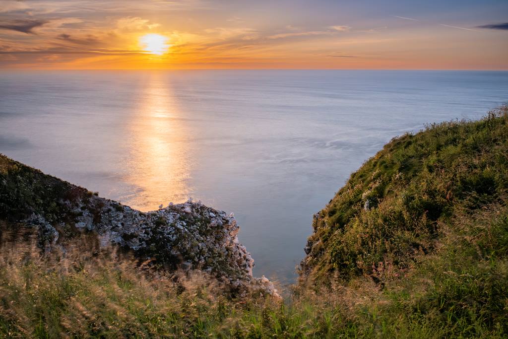 RSPB Bempton Cliffs - Go Yorkshire